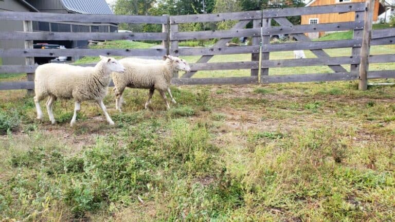 10 Marvelous Spots for a Vermont Weekend Getaway | New England With Love