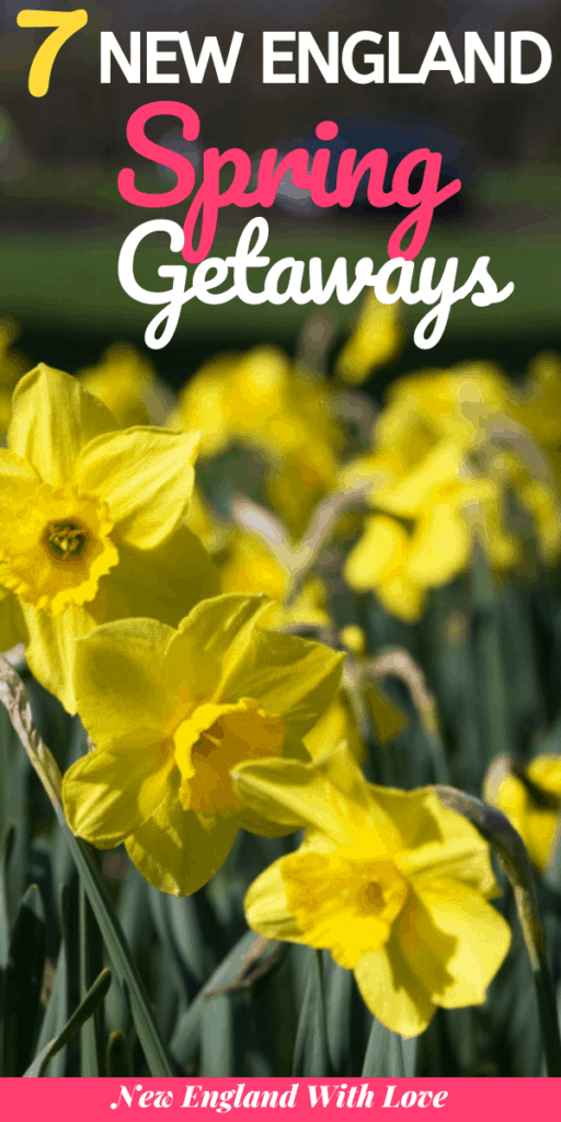 The 7 Best Places to Spend Spring in New England in 2024 | New England ...