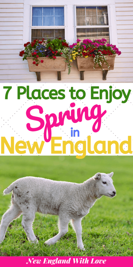The 7 Best Places to Spend Spring in New England in 2024 | New England ...