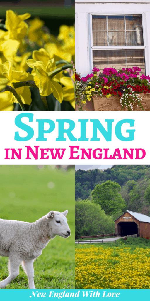 The 7 Best Places to Spend Spring in New England in 2024 | New England ...