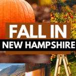 Fall in New Hampshire: The Best Foliage & Places to Go | New England ...