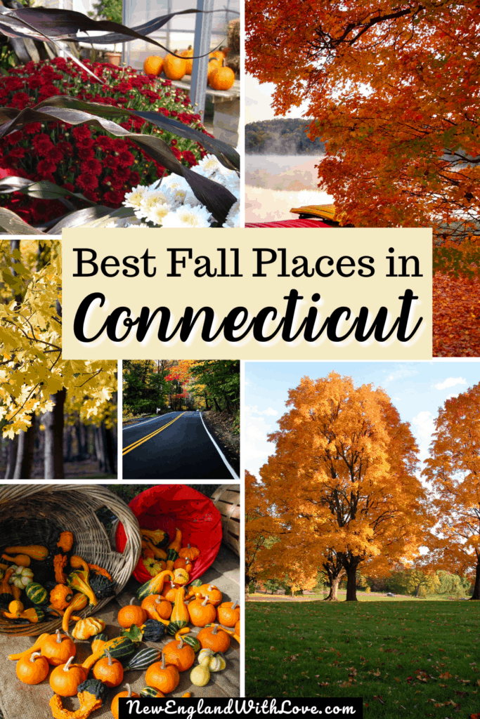 Fall in CT: 13 Top Fall Foliage in Connecticut Spots | New England With ...