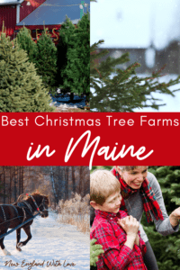 9 Best Christmas Tree Farms in Maine 🌲 | New England With Love