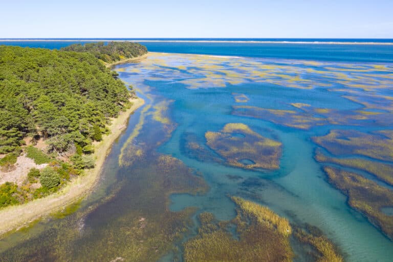 25+ Things to Do on Cape Cod (Besides the Beach!) | New England With Love