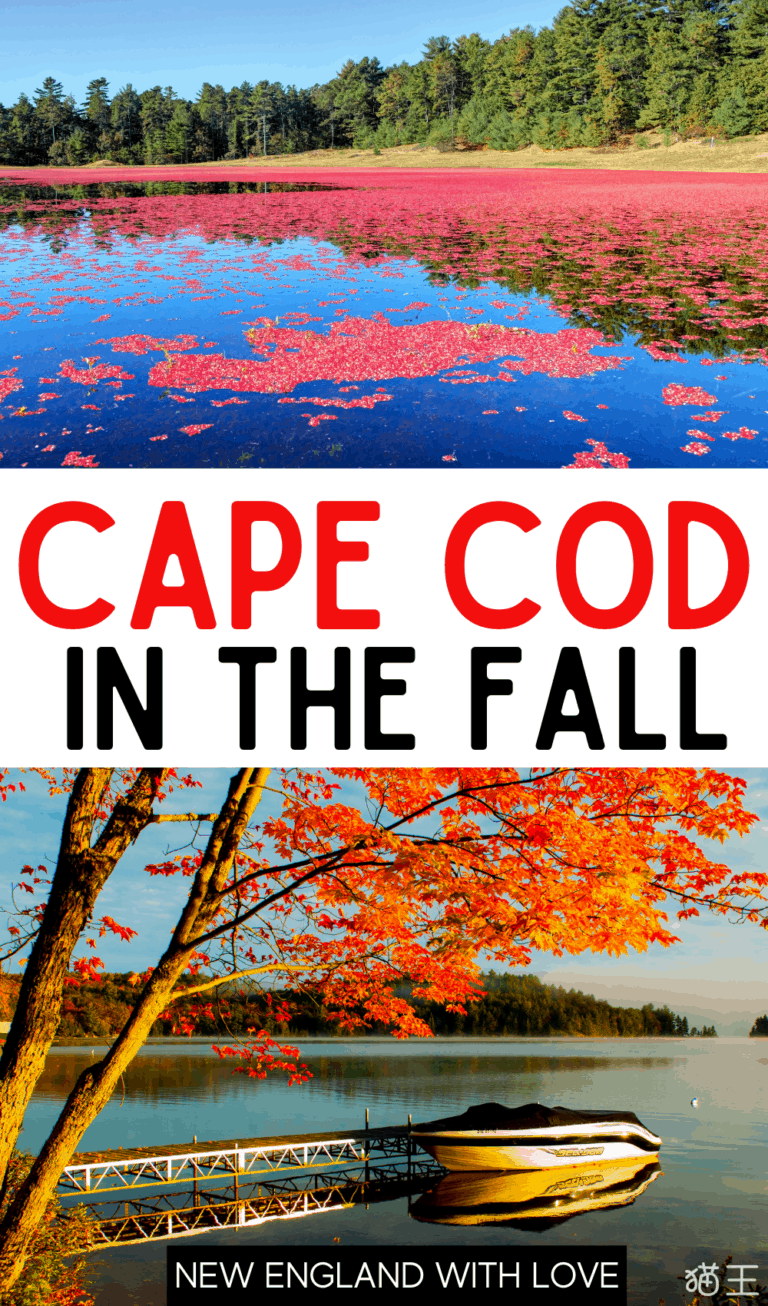Cape Cod in the Fall: 15 Things to Do | New England With Love