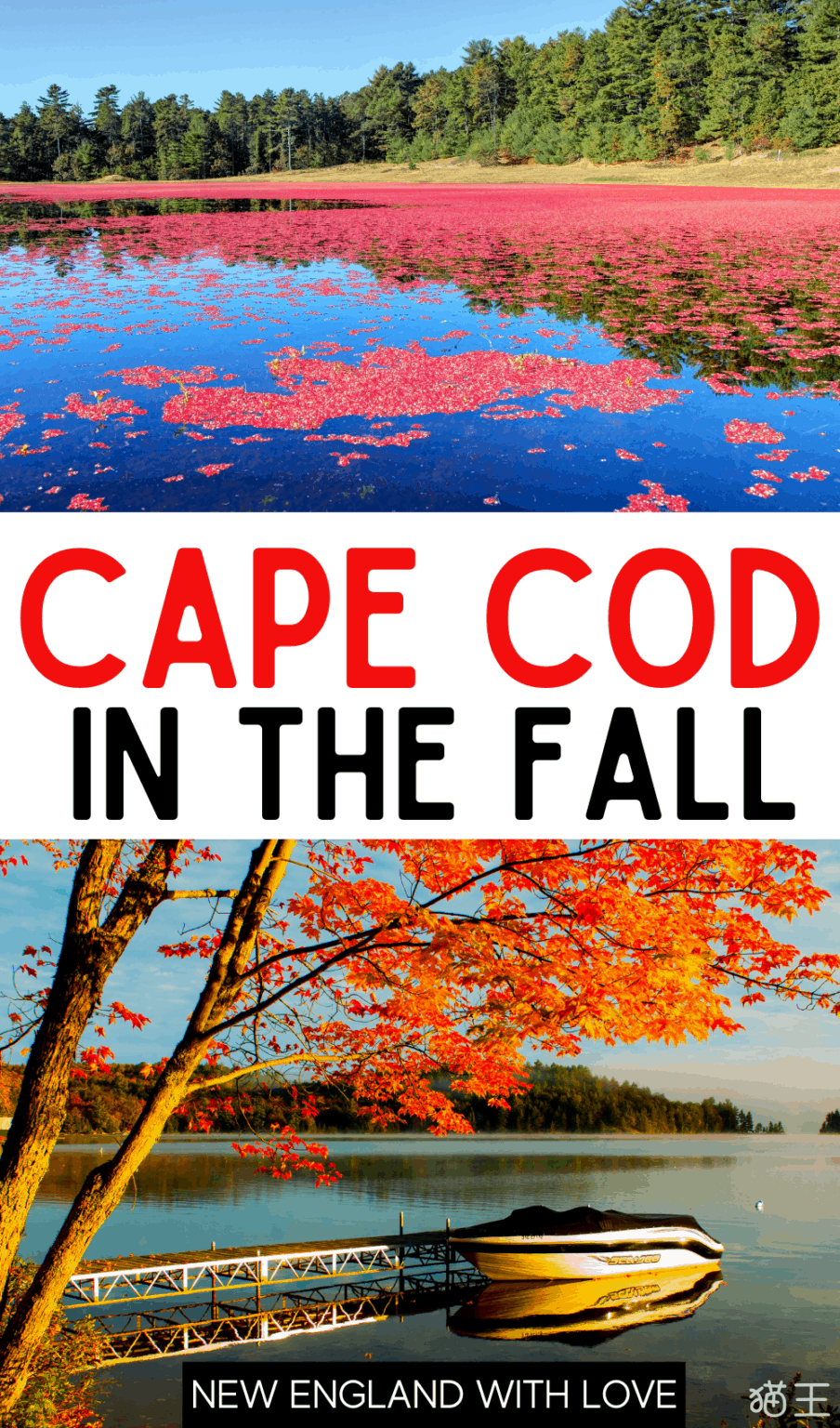 Cape Cod in the Fall: 15 Things to Do | New England With Love