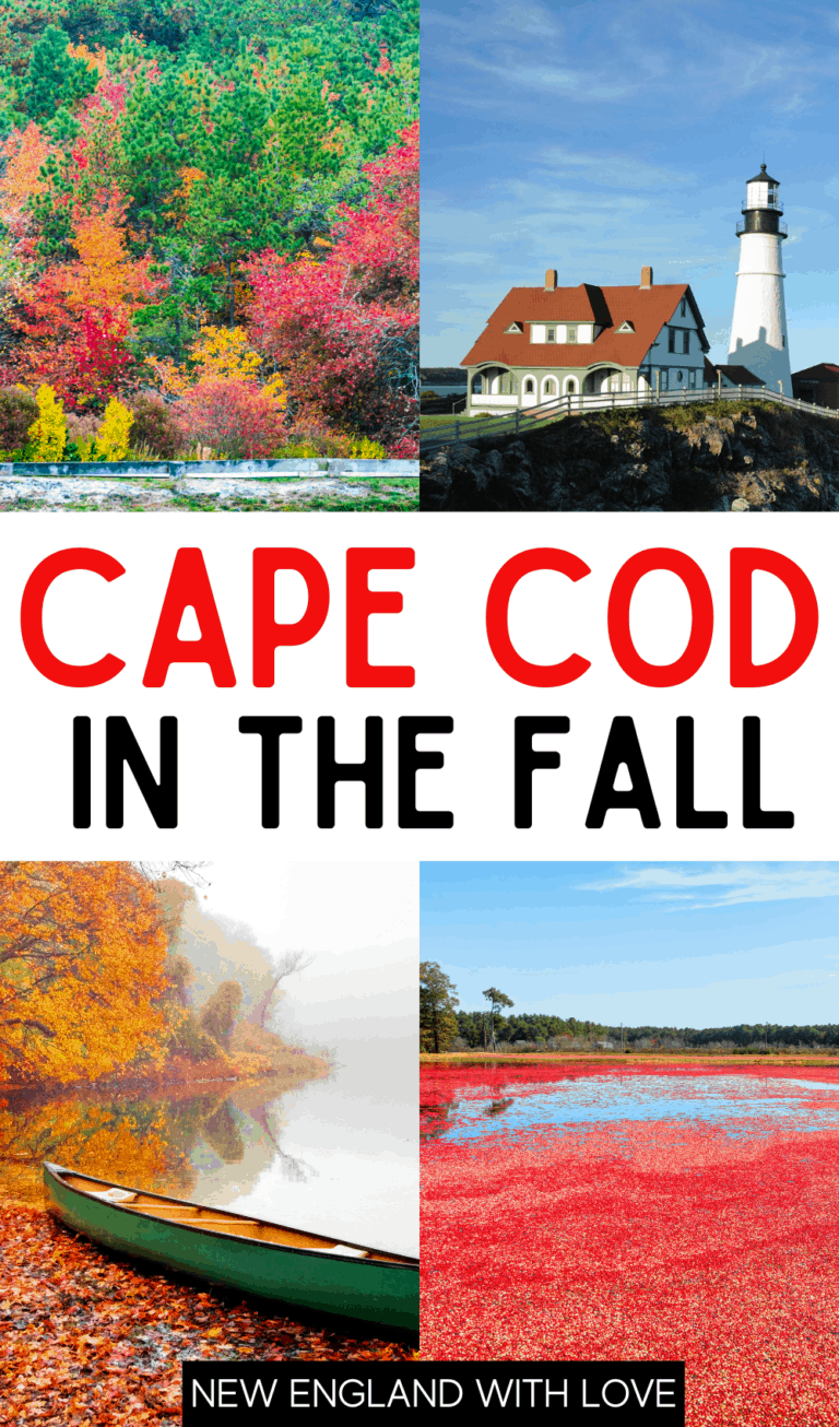 Cape Cod in the Fall: 15 Things to Do | New England With Love