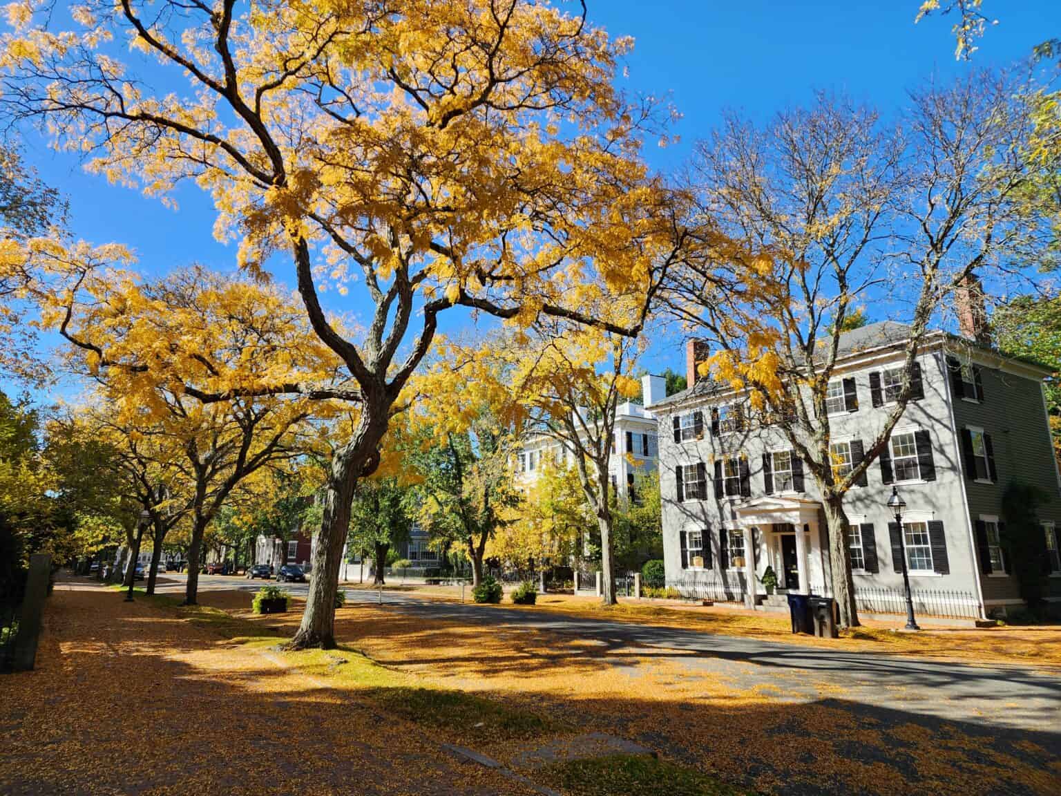 20 Epic Things to Do in Salem, MA in October (Halloween 2024) 🎃 | New ...