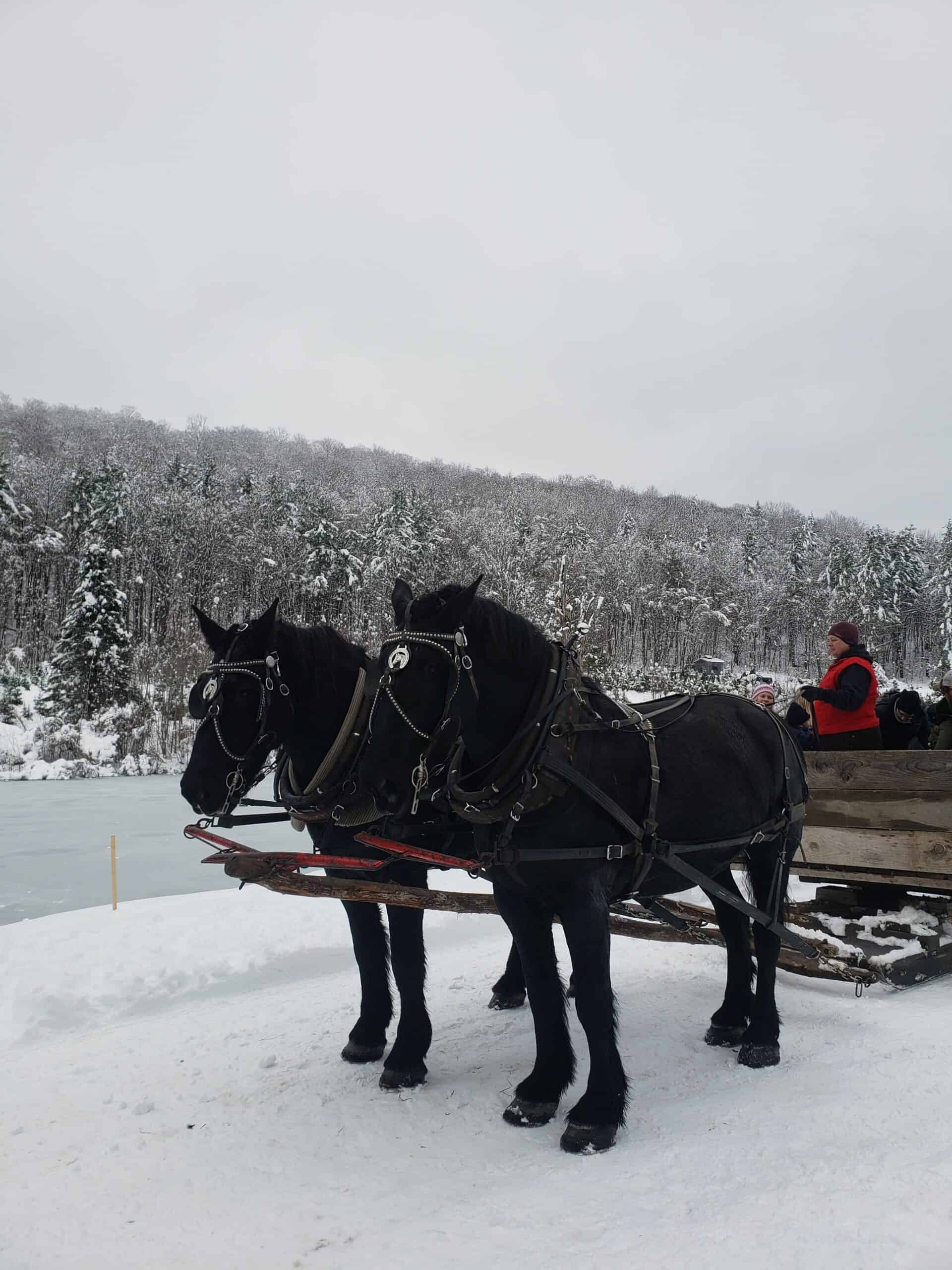 Christmas in Vermont 2024: Events & Activities! 🎄 | New England With Love