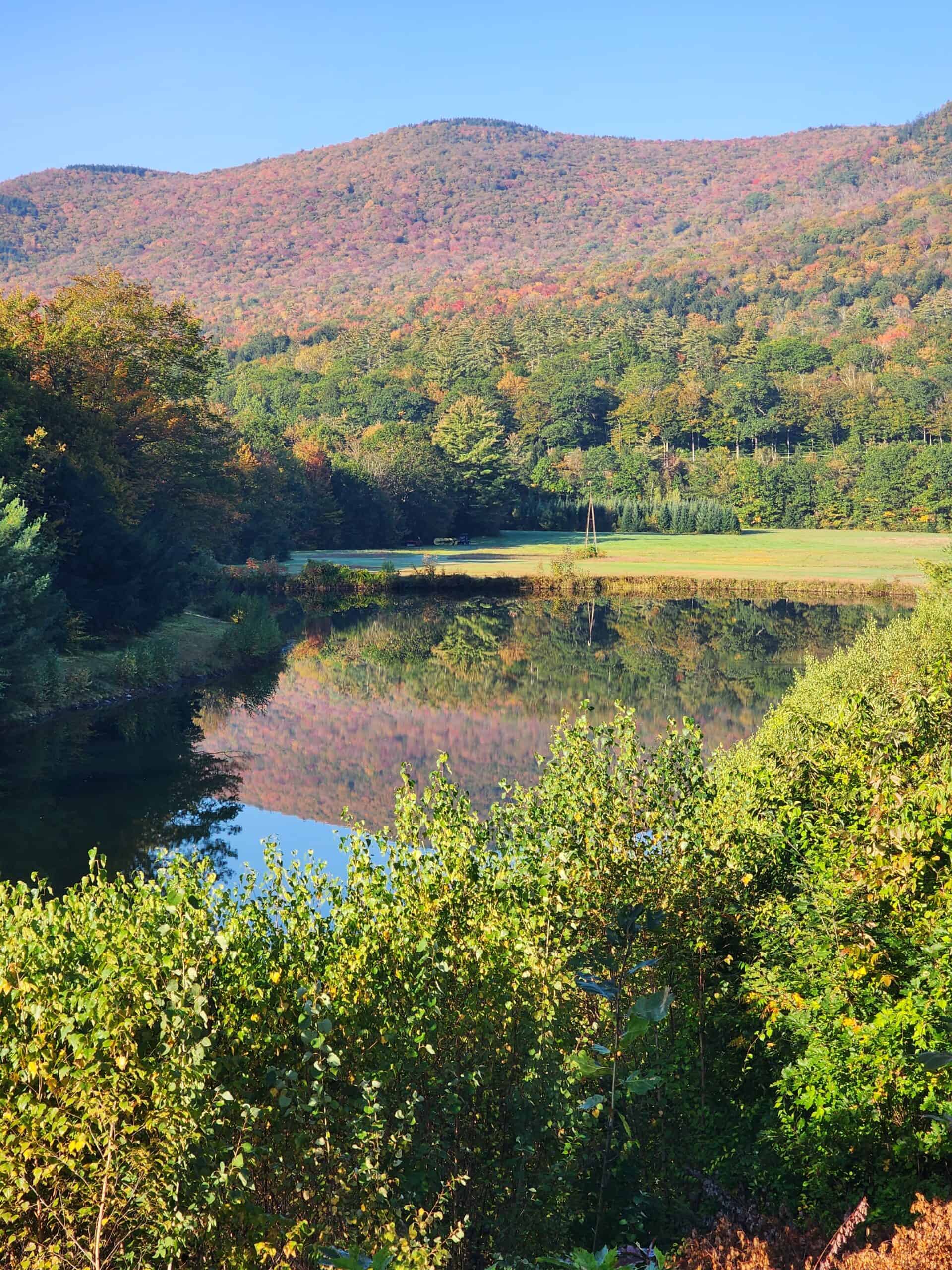 Lumen Nature Retreat: Luxury Glamping in the White Mountains | New ...